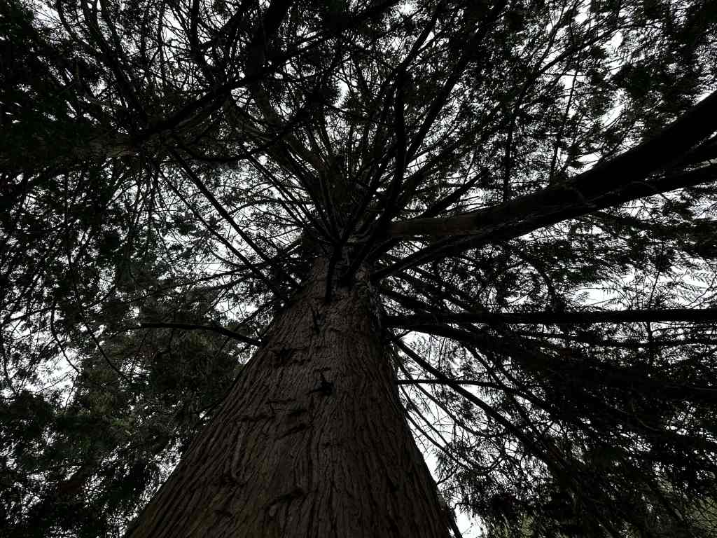 Deception Pass State Park Camping: All You Need To Know