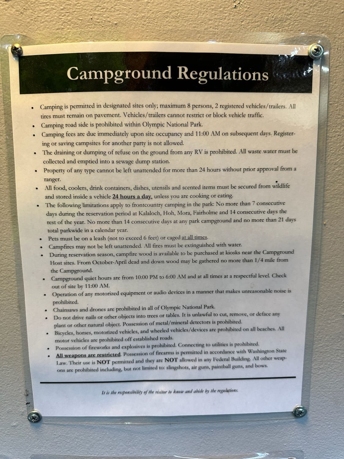 Explore Mora Campground: Essential Family's Guide And Tips