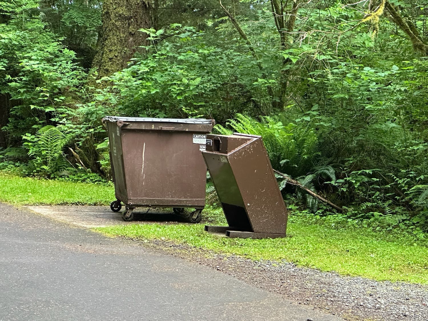 Explore Mora Campground: Essential Family's Guide And Tips