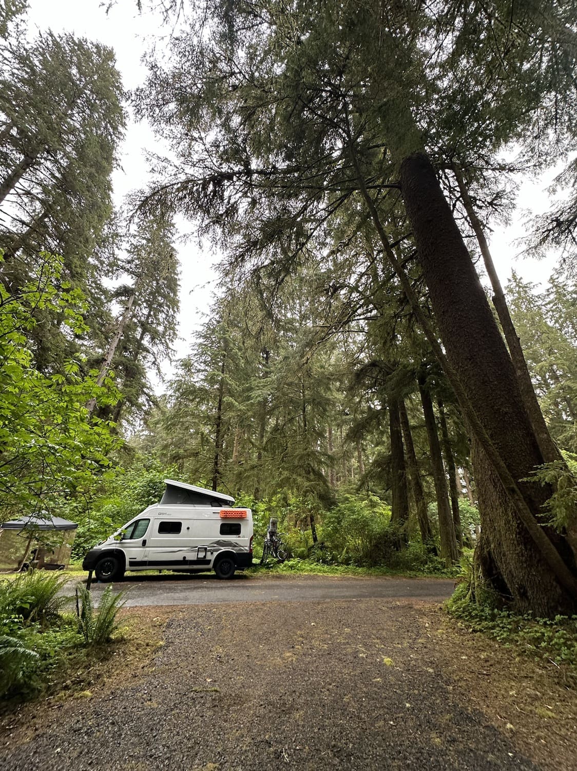 Explore Mora Campground: Essential Family's Guide And Tips