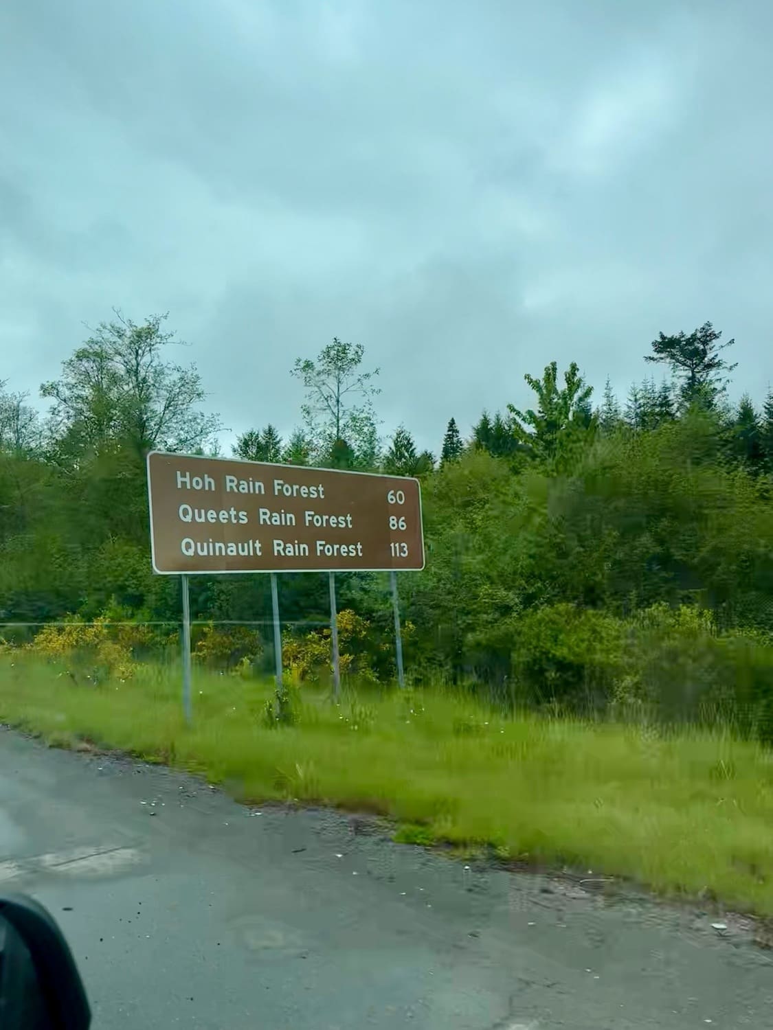 Explore Mora Campground: Essential Family's Guide And Tips