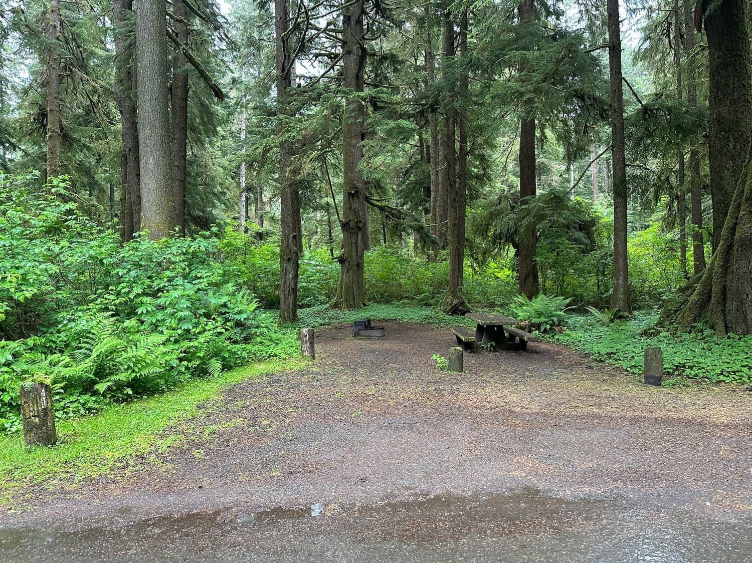 Explore Mora Campground: Essential Family's Guide And Tips