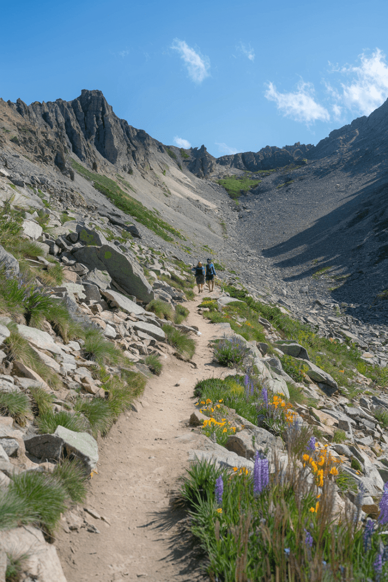 Where To See Pikas In Washington: Best Trails & Tips
